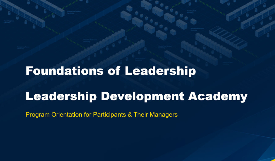 Leadership Academy – Darom Learning Solutions